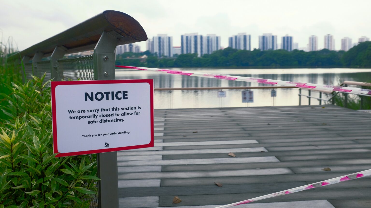 13 Classification of Typeface You Need to Know - Creatype Studio Co